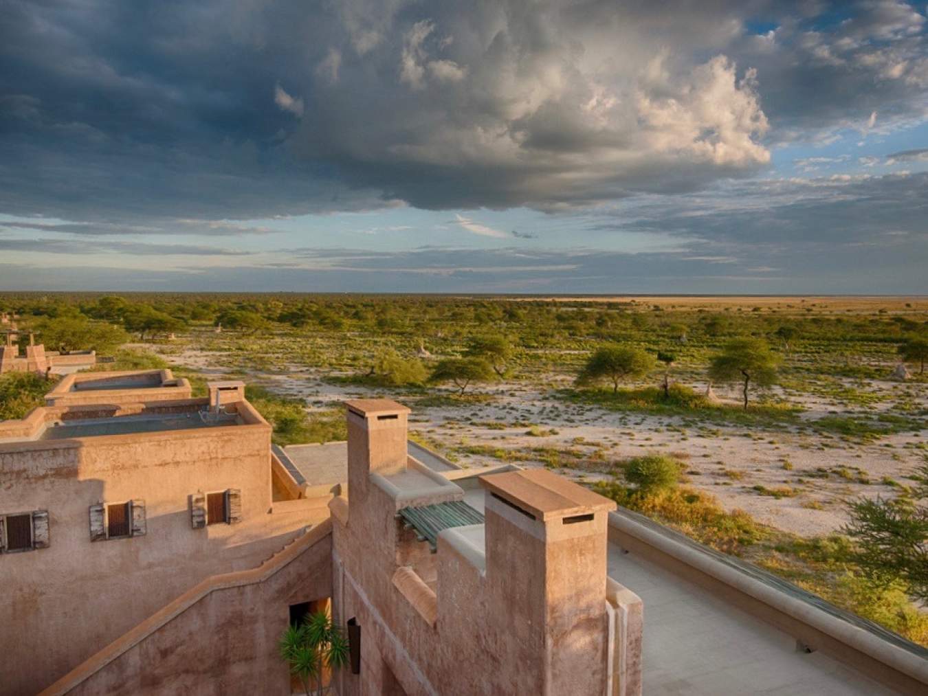 The Big Five-Safari | Namibia Individual